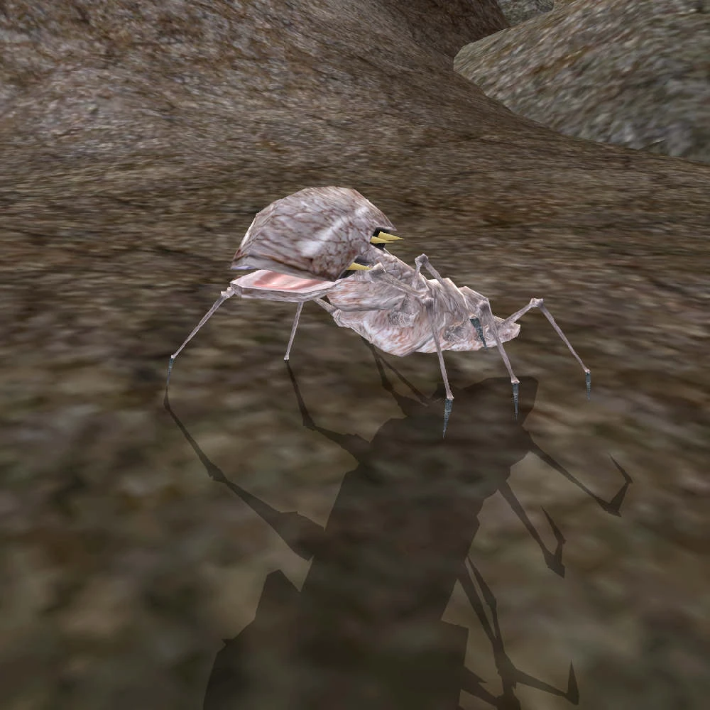 Kwama (Morrowind) | Elder Scrolls | Fandom