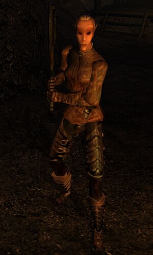 Aranwen | Elder Scrolls | Fandom