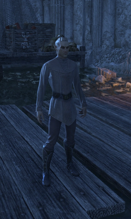 Arathel (Summerset) | Elder Scrolls | Fandom