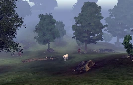 Harcane Grove | Elder Scrolls | Fandom