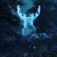 Hircine | The Elder Scrolls Wiki | Fandom