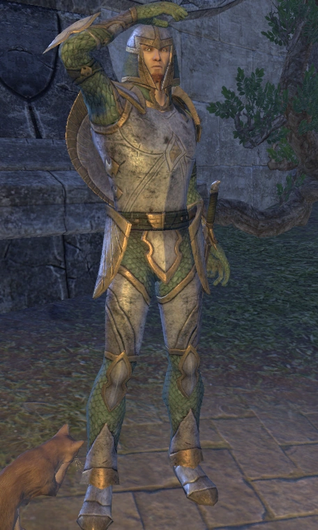 Vulkhel Guard (Character) | Elder Scrolls | Fandom