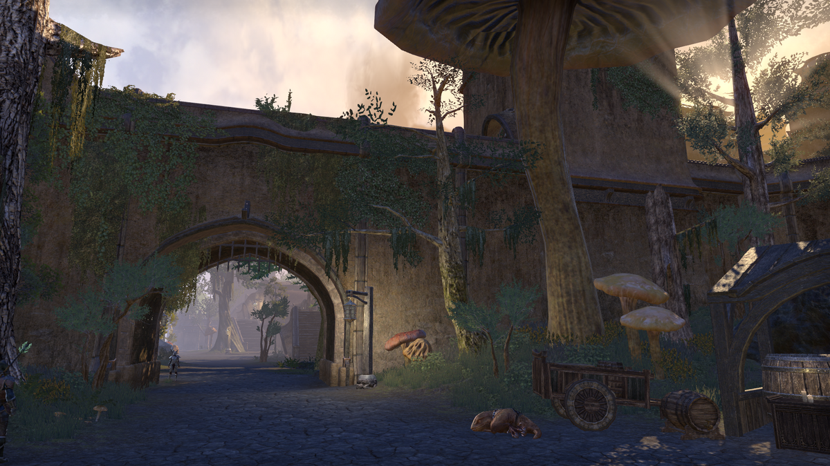 Балмора Online Morrowind The Elder Scrolls Wiki Fandom