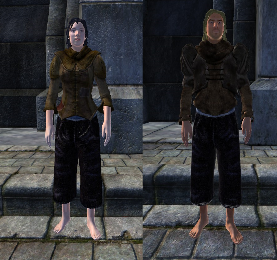 Рваная рубашка The Elder Scrolls Wiki Fandom