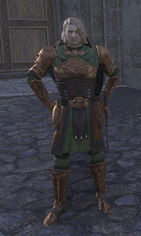 Captain Rian Liore | Elder Scrolls | Fandom