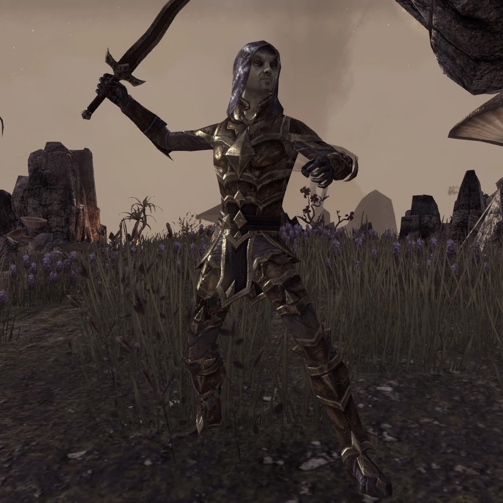 Chimer Soldier | The Elder Scrolls Wiki | Fandom