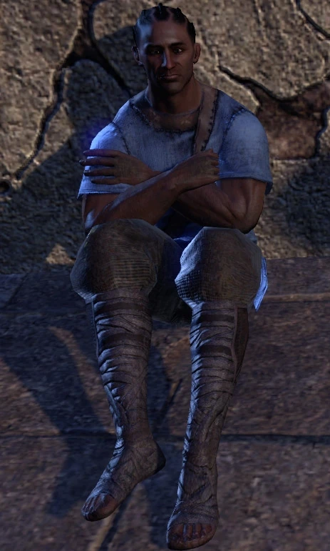 Darwish | Elder Scrolls | Fandom