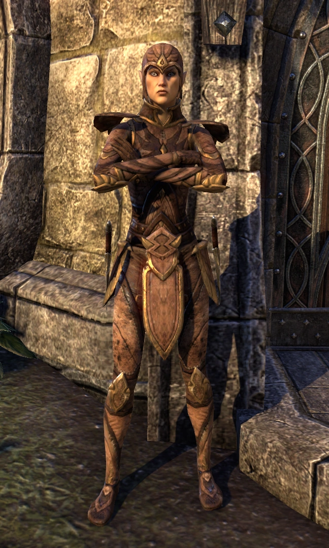 Mercenaire (Phaer) | Wiki The Elder Scrolls | Fandom