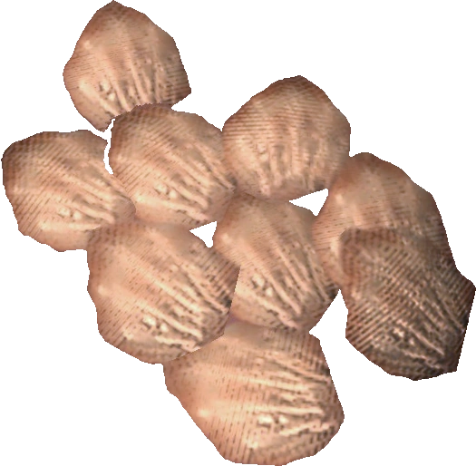 Rumare Slaughterfish Scales | Elder Scrolls | Fandom