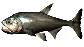 Vampire Fish | Elder Scrolls | Fandom