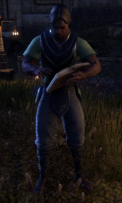 Afshar | Wiki The Elder Scrolls | Fandom