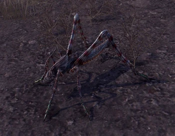 Ash Hopper (Online) | Elder Scrolls | Fandom