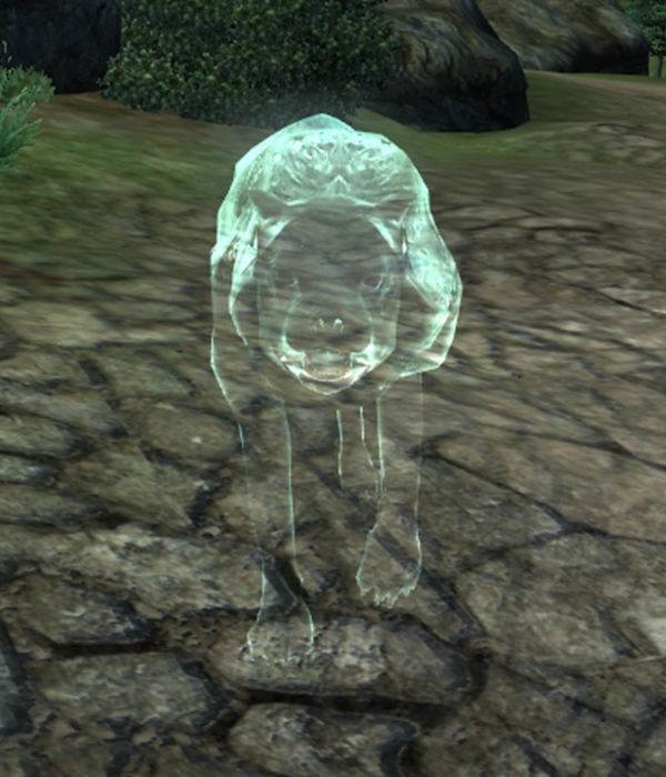 Ghost Hound | Elder Scrolls | Fandom