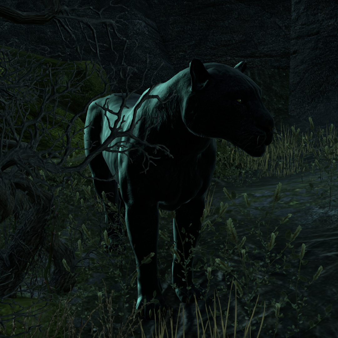 Noires Moustaches Wiki The Elder Scrolls Fandom