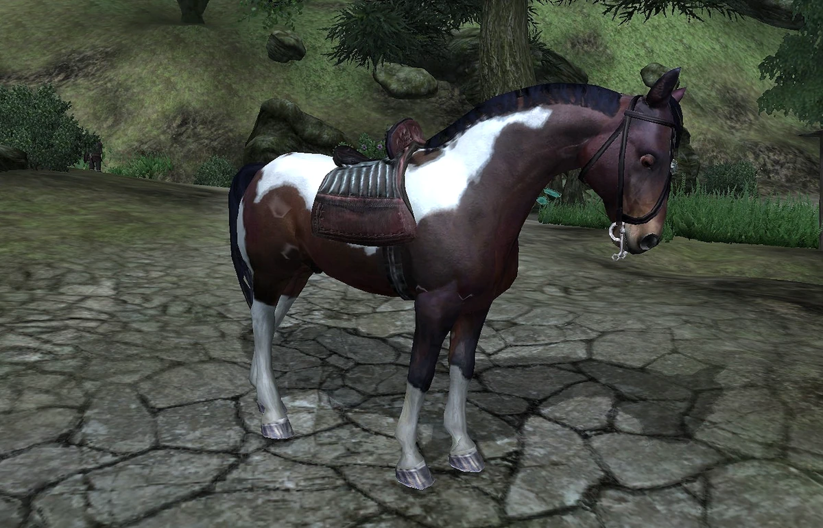 Paint Horse | Elder Scrolls | Fandom