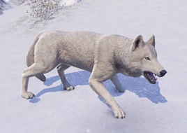 Dire Wolf | Elder Scrolls | Fandom