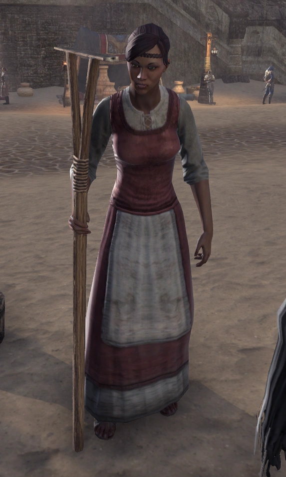 Ennas at-Aswala | Elder Scrolls | Fandom