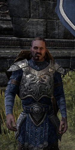 General Am-Shadal | Elder Scrolls | Fandom