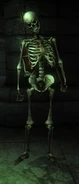 Skeleton (Oblivion) | Elder Scrolls | Fandom