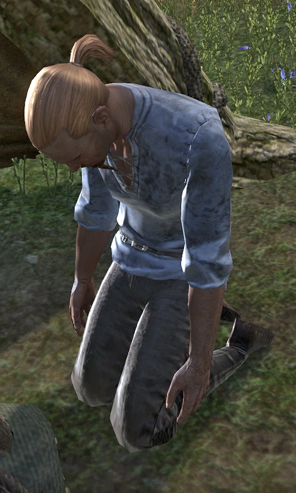 Vance Trebarne | Elder Scrolls | Fandom