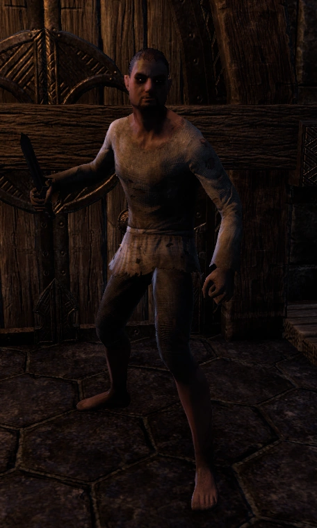 Fou | Wiki The Elder Scrolls | Fandom