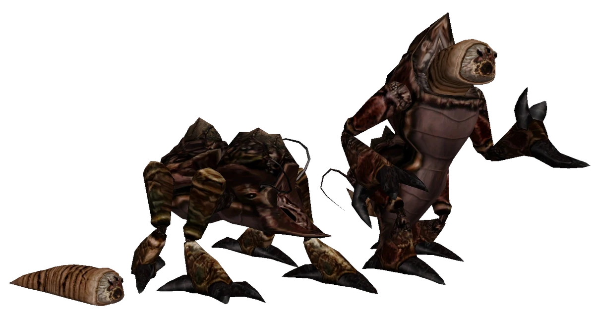 Kwama (Morrowind) | Elder Scrolls | Fandom