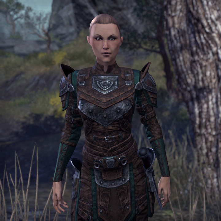 КатегорияНорды Markarth The Elder Scrolls Wiki Fandom
