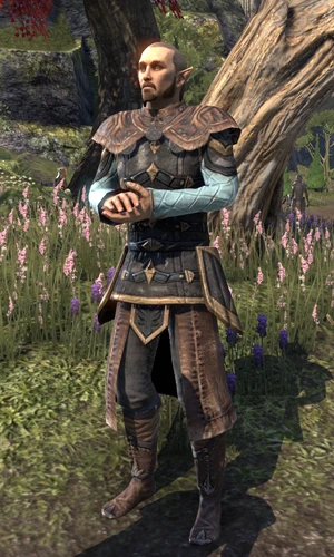 Astor | Wiki The Elder Scrolls | Fandom