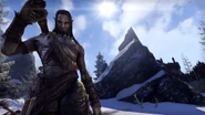 Giant (Online) | Elder Scrolls | Fandom