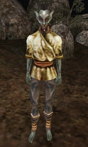 Shargon Odin-Ahhe | Elder Scrolls | Fandom