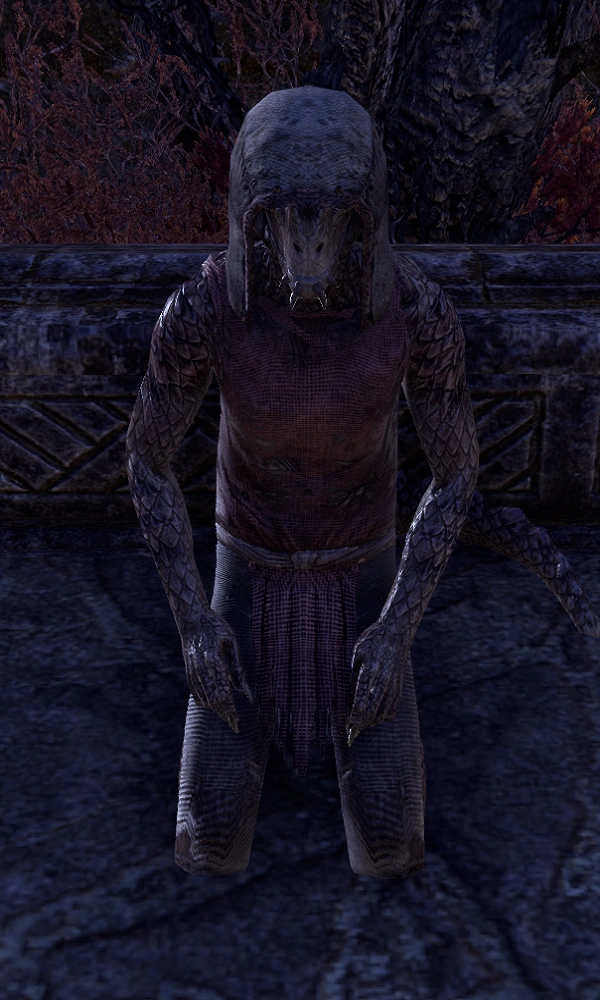 Sleeps-Beneath-Filth | Elder Scrolls | Fandom