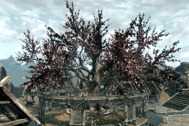 skyrim solitude collapse