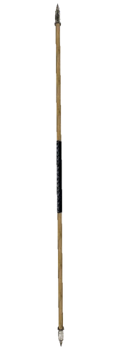 Ancestral Wisdom Staff | Elder Scrolls | Fandom