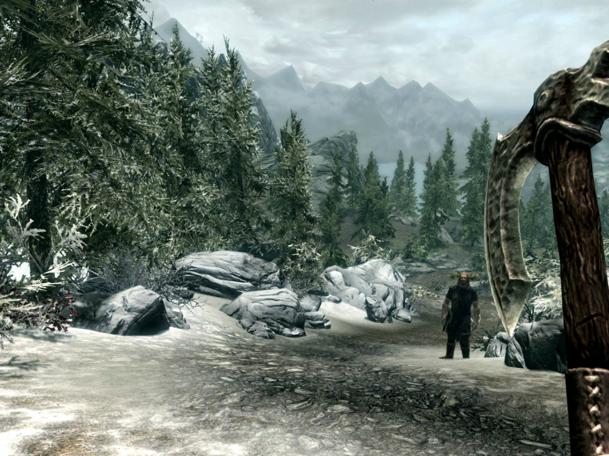 High Resolution Texture Pack | Elder Scrolls | Fandom