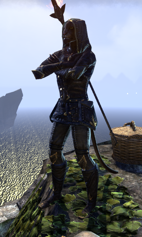 Sentinelle Personnage Wiki The Elder Scrolls Fandom