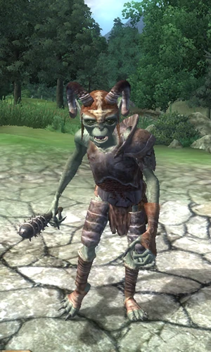 Goblin Chef | Elder Scrolls | Fandom