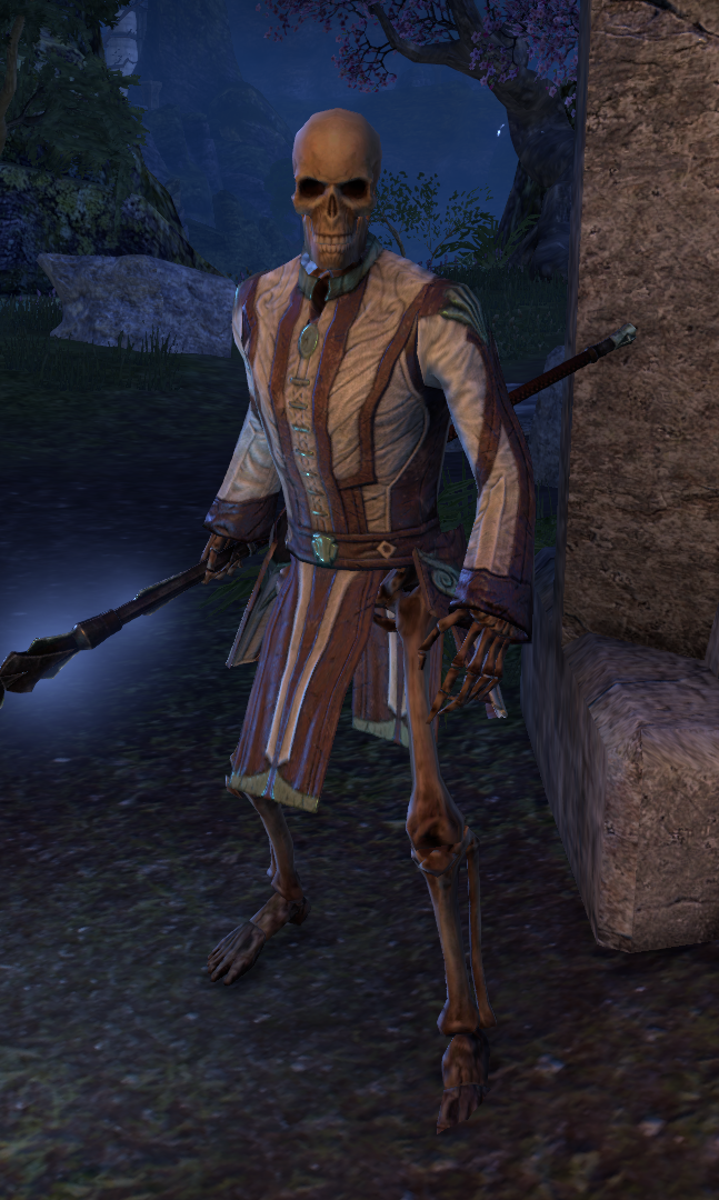 Tempête Squelette Wiki The Elder Scrolls Fandom