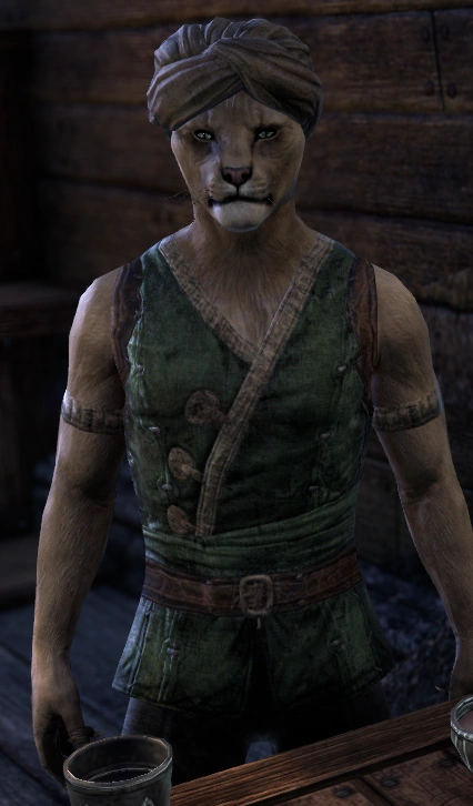 Zuzik | Wiki The Elder Scrolls | Fandom