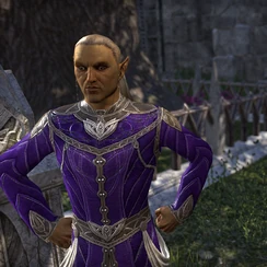 Фелариан | The Elder Scrolls Wiki | Fandom