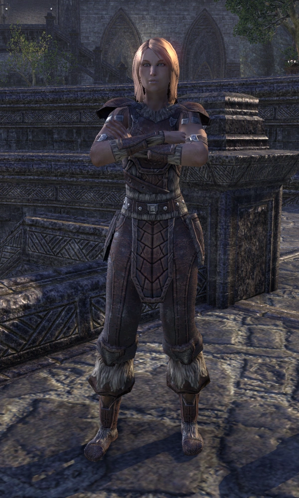 Balwyn Banner-Torn | Elder Scrolls | Fandom