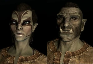 Ork (Skyrim) | The Elder Scrolls Wiki | Fandom