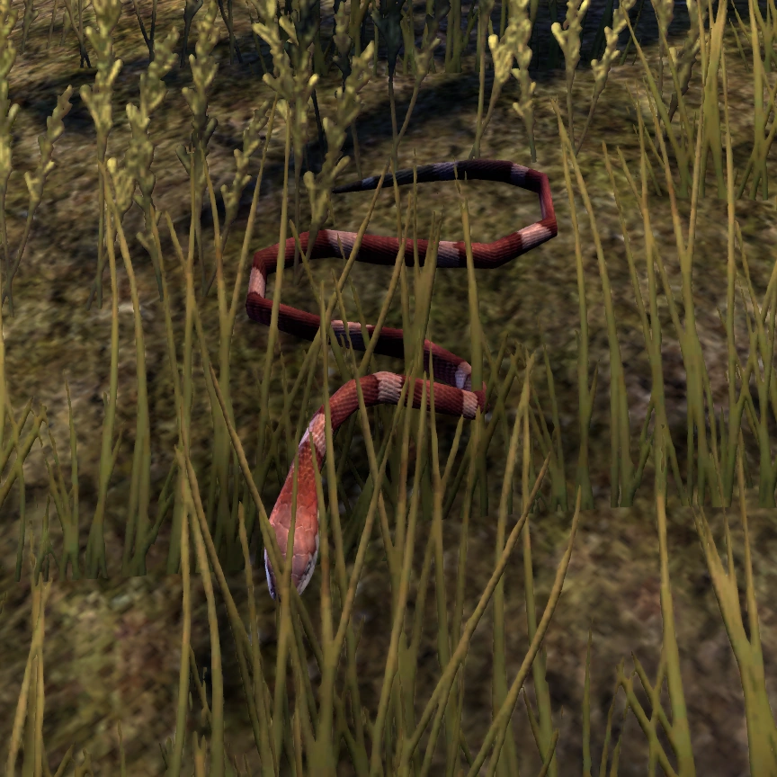 Serpent | Wiki The Elder Scrolls | Fandom