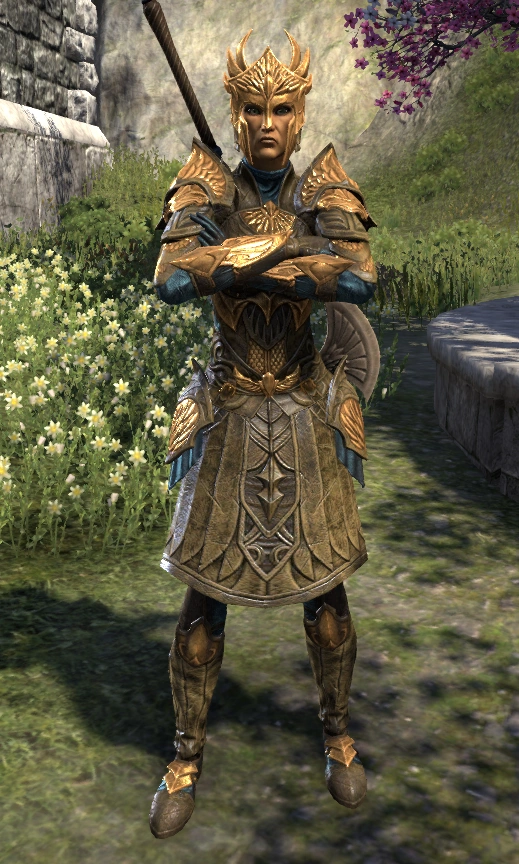 Justiciar Avirel | Wiki The Elder Scrolls | Fandom