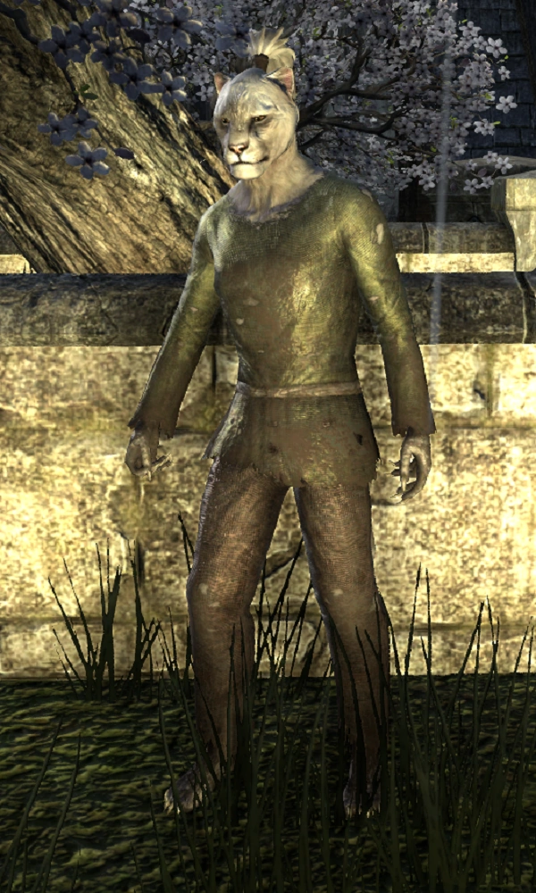 Kuralit | Elder Scrolls | Fandom