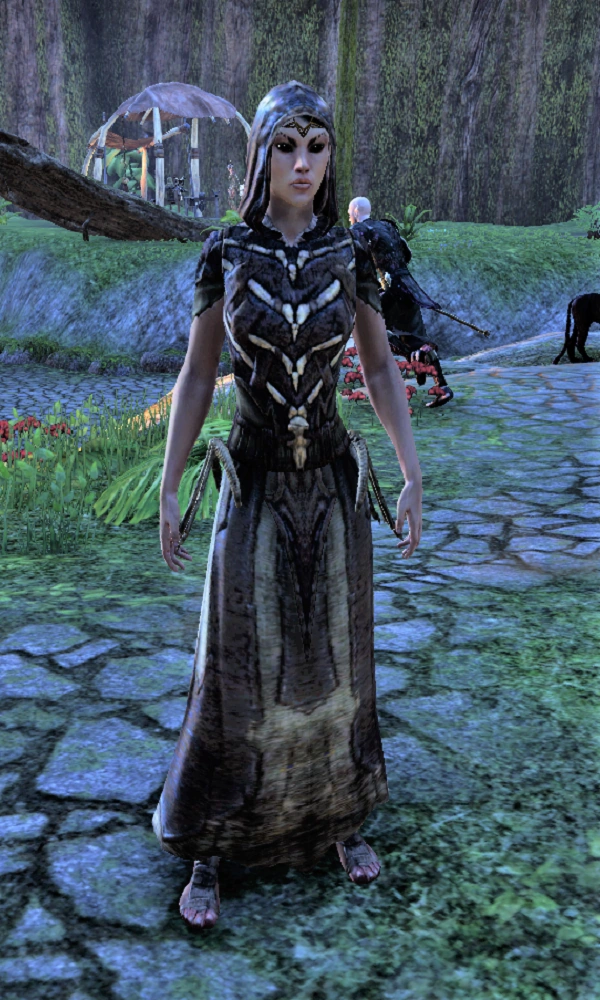 Raynorien | Elder Scrolls | Fandom