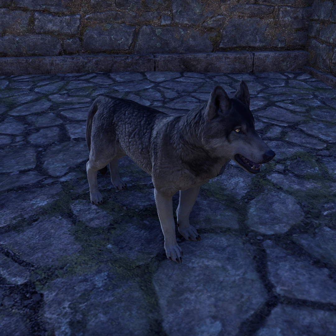 Skorm | Wiki The Elder Scrolls | Fandom