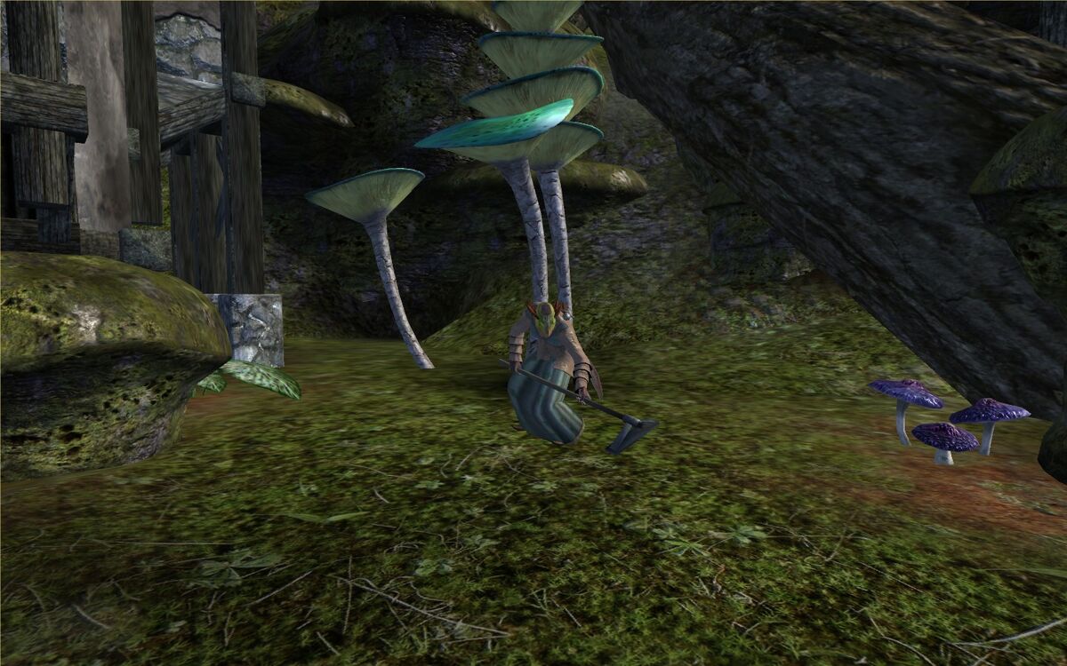 Дом Высоких Падающих Деревьев The Elder Scrolls Wiki Fandom