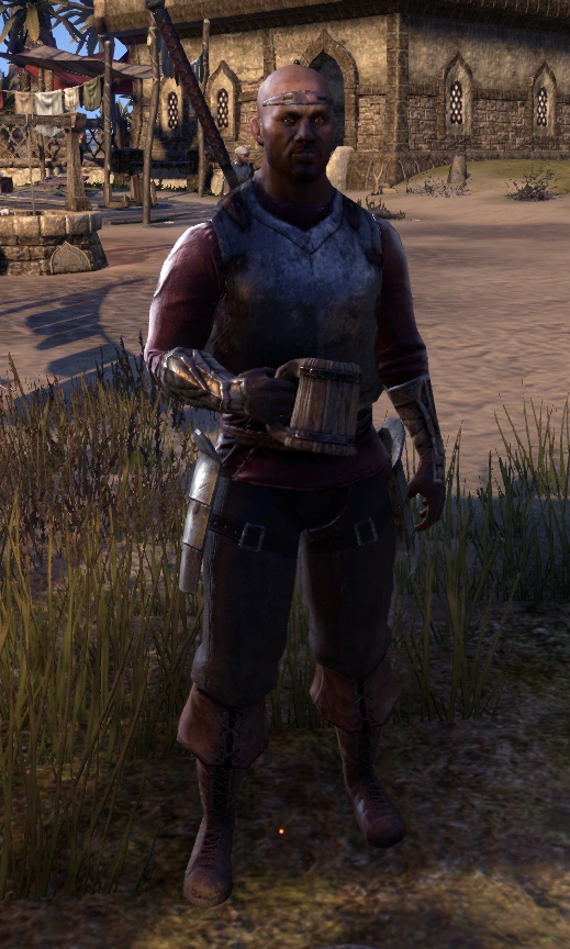 Brigand Dragon des mers | Wiki The Elder Scrolls | Fandom