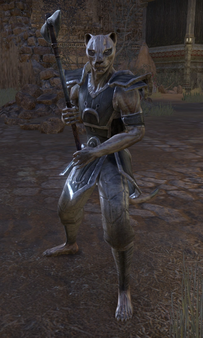 Brigand malade | Wiki The Elder Scrolls | Fandom