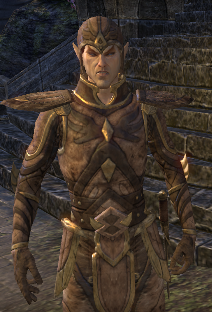 Royal Guard Online Elder Scrolls Fandom